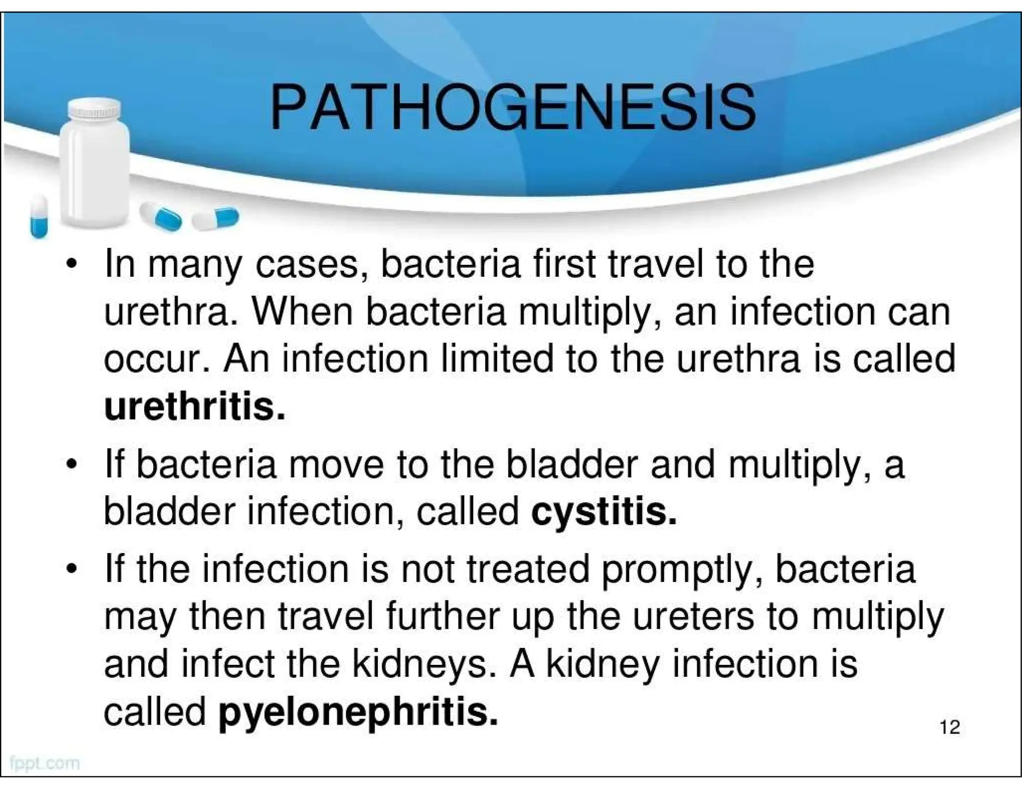 Urinary Tract Anti-infective Agents.pdf quinoline drugs | PDF