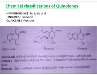 Urinary Tract Anti-infective Agents.pdf quinoline drugs | PDF