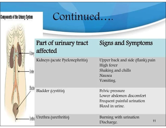 Urinary Tract Anti-infective Agents.pdf quinoline drugs | PDF ...