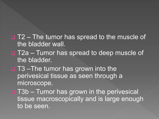 Urinary tract cancer | PPTX