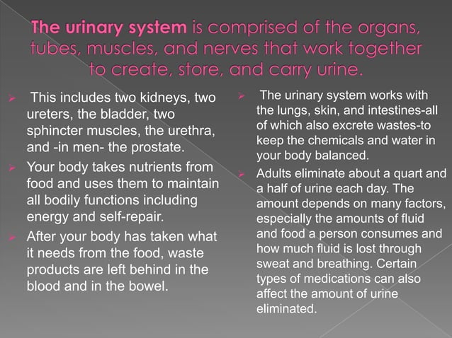 Urinary tract cancers overview | PPT