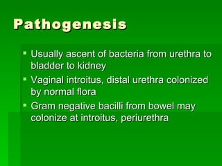 Urinary Tract Disorders | PPT