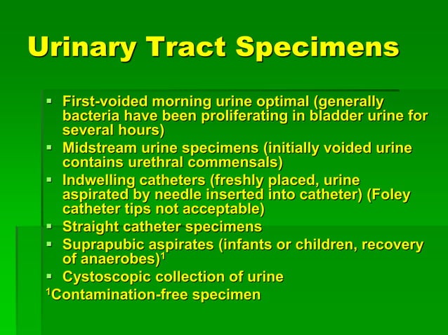 Urinary tract disorders | PPT