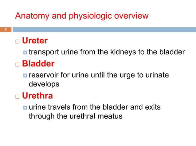 urinary tract disorders.pptx | Medical Health