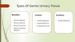 Urinary Tract Fistulas -(VVF) Etiology, Diagnosis, Management | PDF