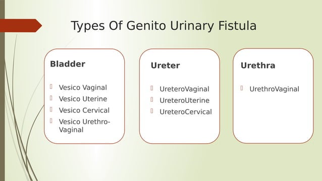Urinary Tract Fistulas -(VVF) Etiology, Diagnosis, Management | PDF ...