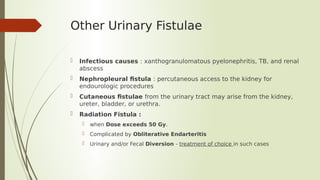Urinary Tract Fistulas -(VVF) Etiology, Diagnosis, Management | PDF