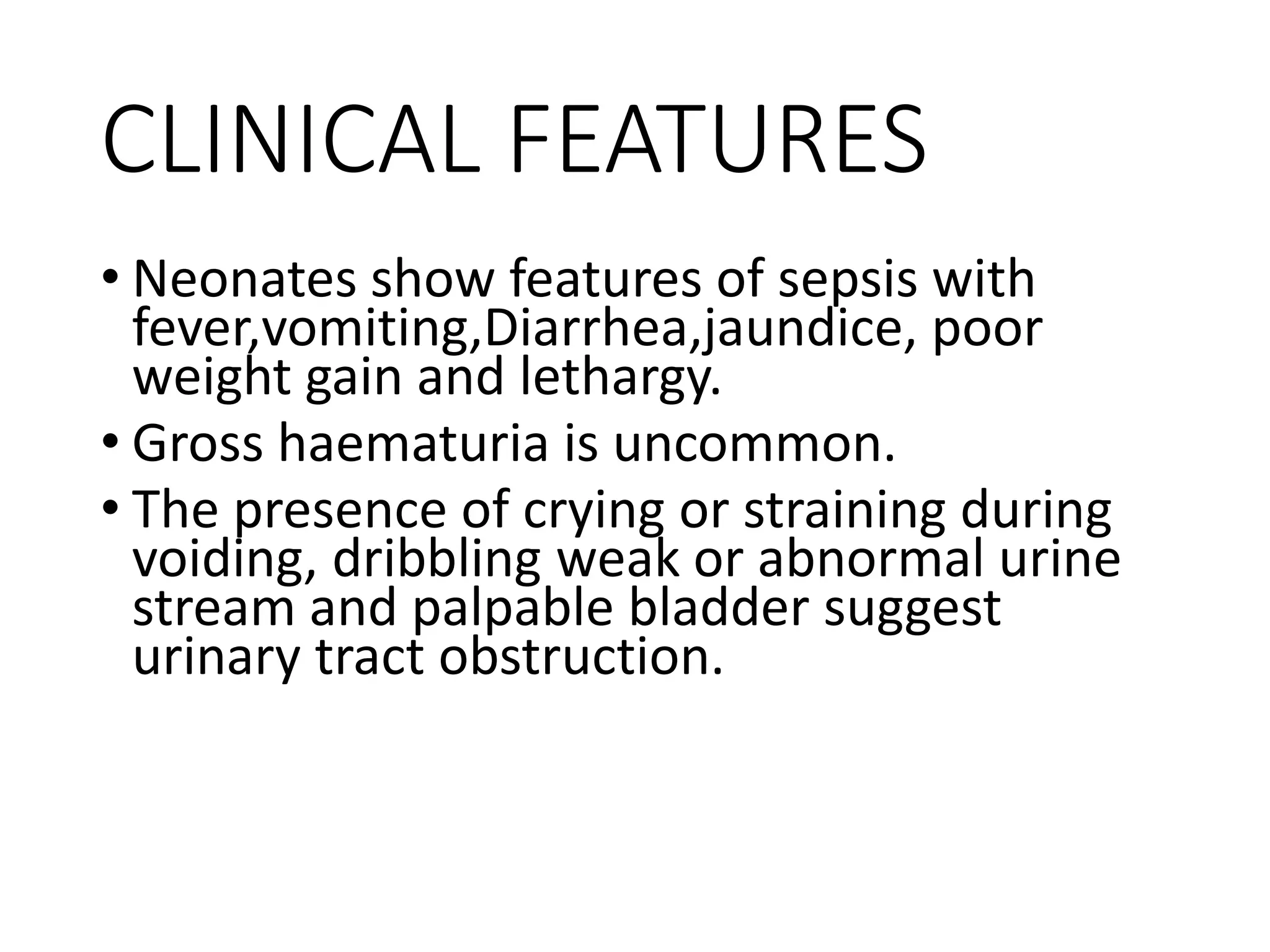 URINARY TRACT I-WPS Office.pptx