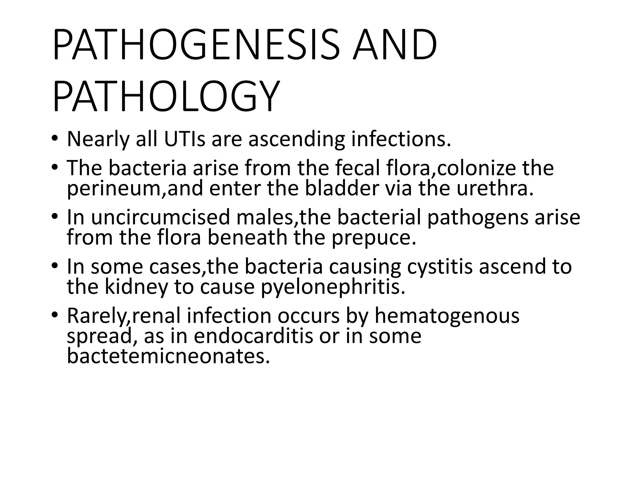 URINARY TRACT I-WPS Office.pptx