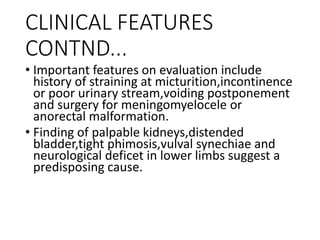 URINARY TRACT I-WPS Office.pptx