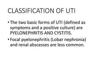 URINARY TRACT I-WPS Office.pptx