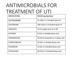 URINARY TRACT I-WPS Office.pptx