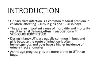 URINARY TRACT I-WPS Office.pptx