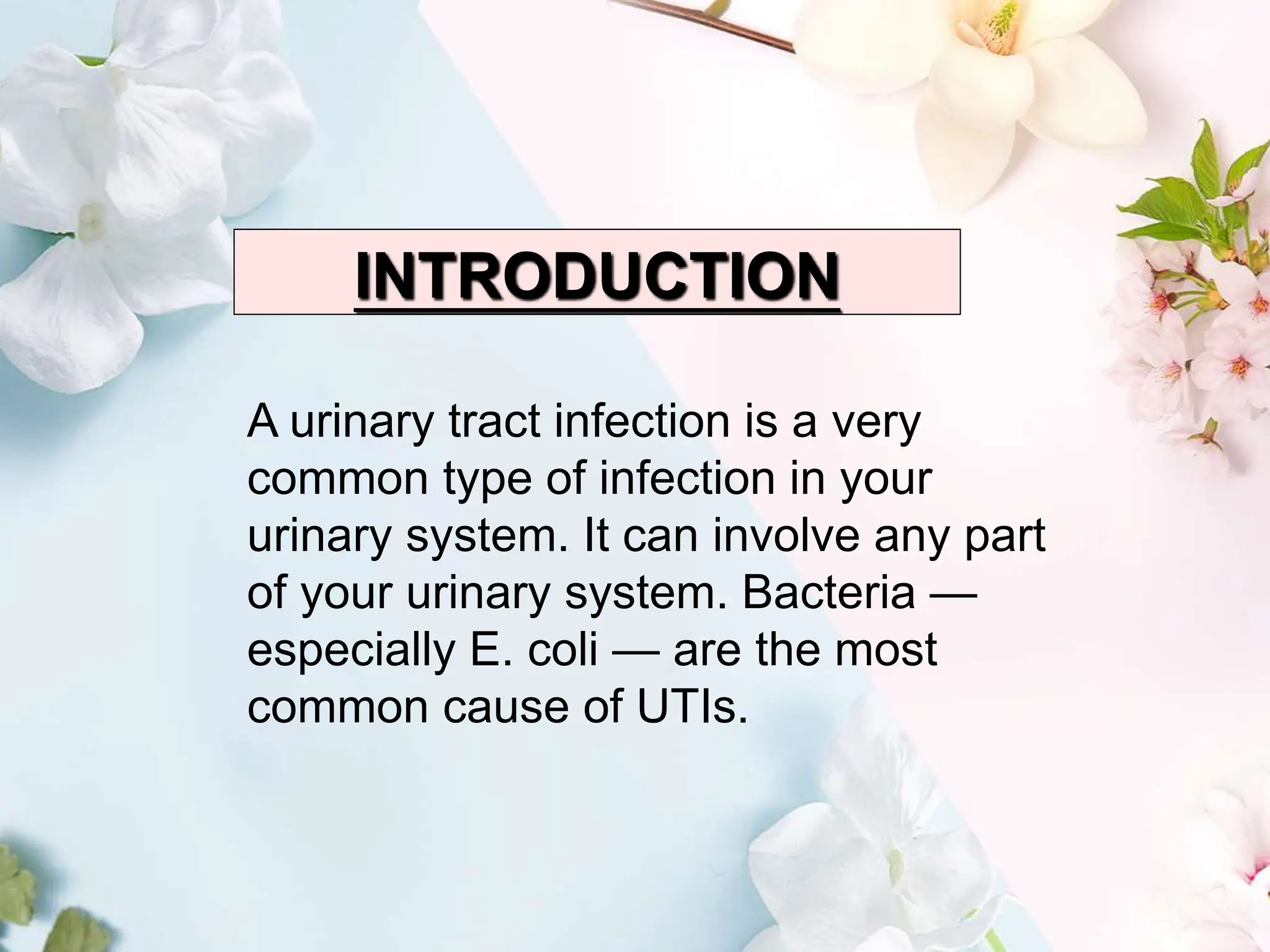 URINARY TRACT INFECTION WPS Office. Pptx | PPTX