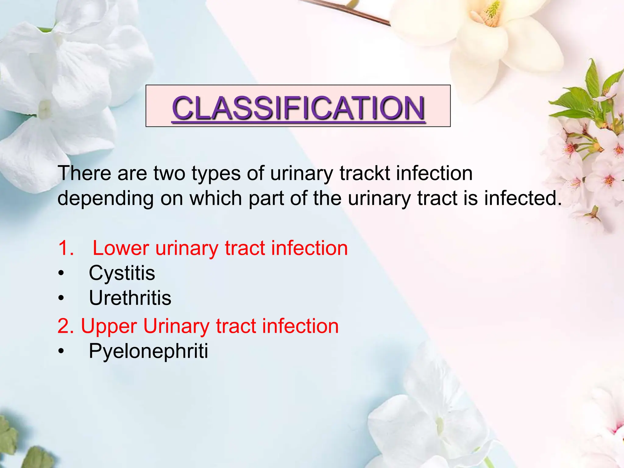 URINARY TRACT INFECTION WPS Office. Pptx | PPTX