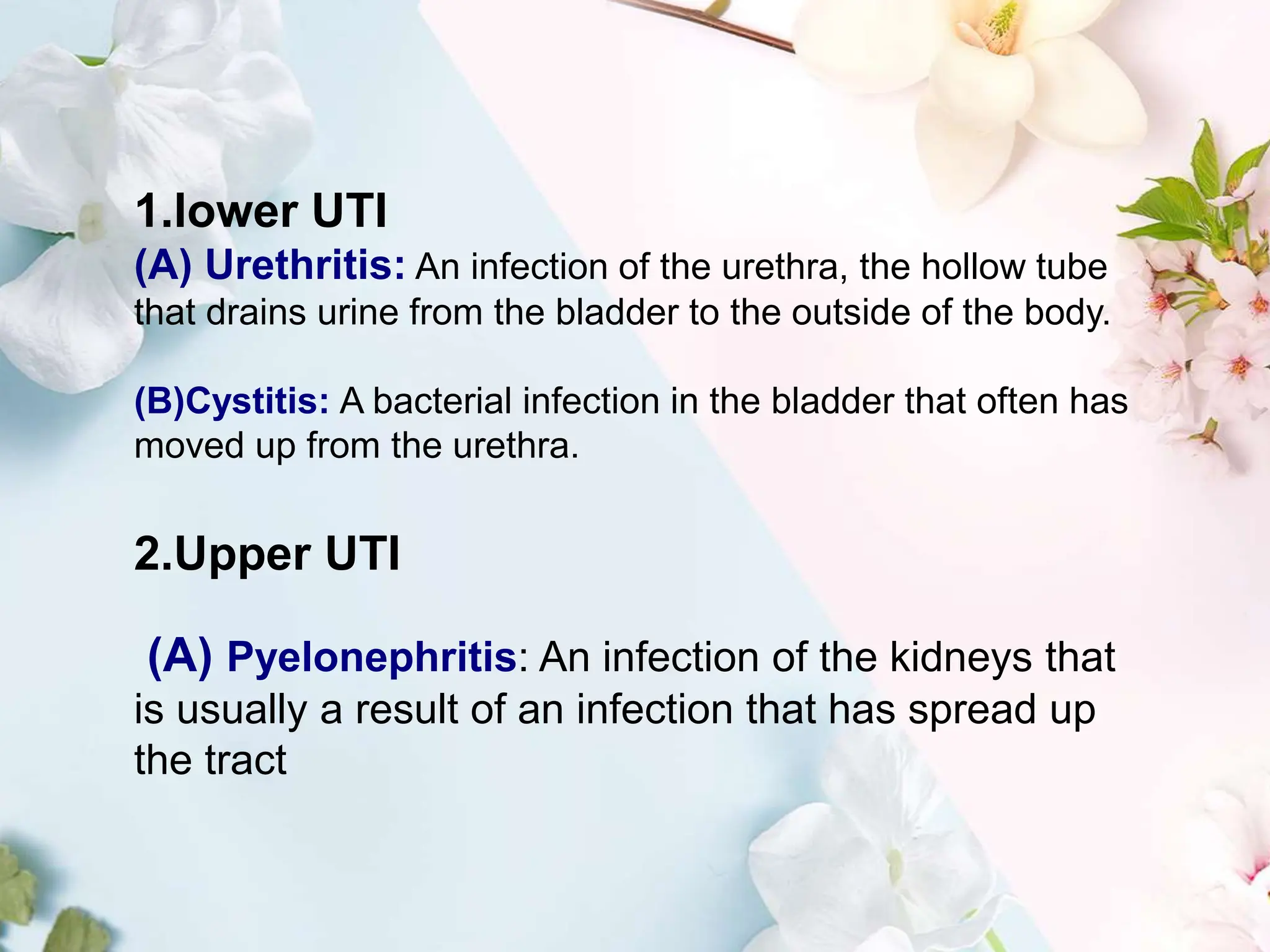 URINARY TRACT INFECTION WPS Office. Pptx | PPTX