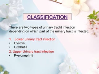URINARY TRACT INFECTION WPS Office. Pptx | PPTX
