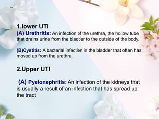 URINARY TRACT INFECTION WPS Office. Pptx | PPTX