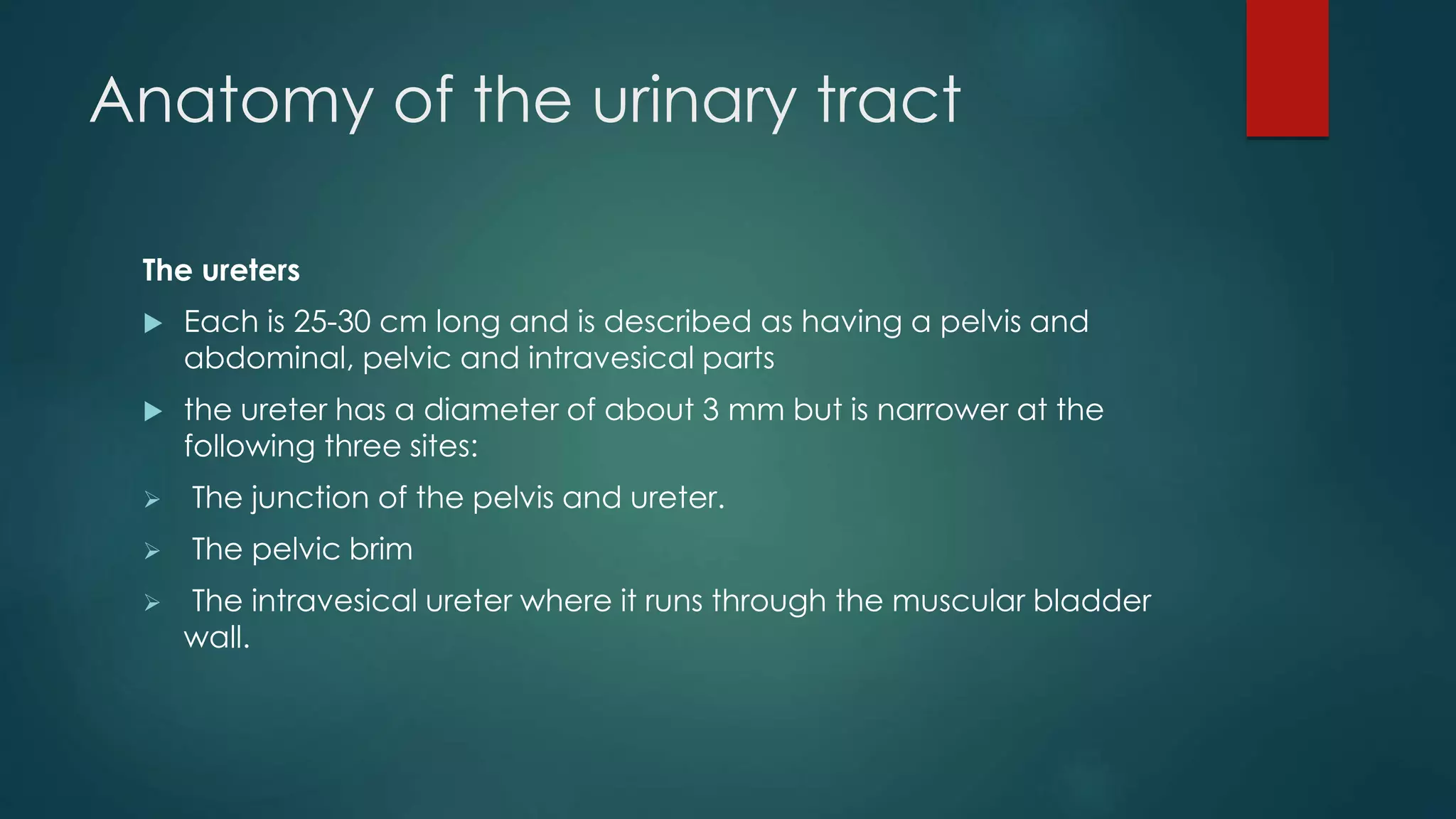 Urinary tract imaging and pathology | PPTX