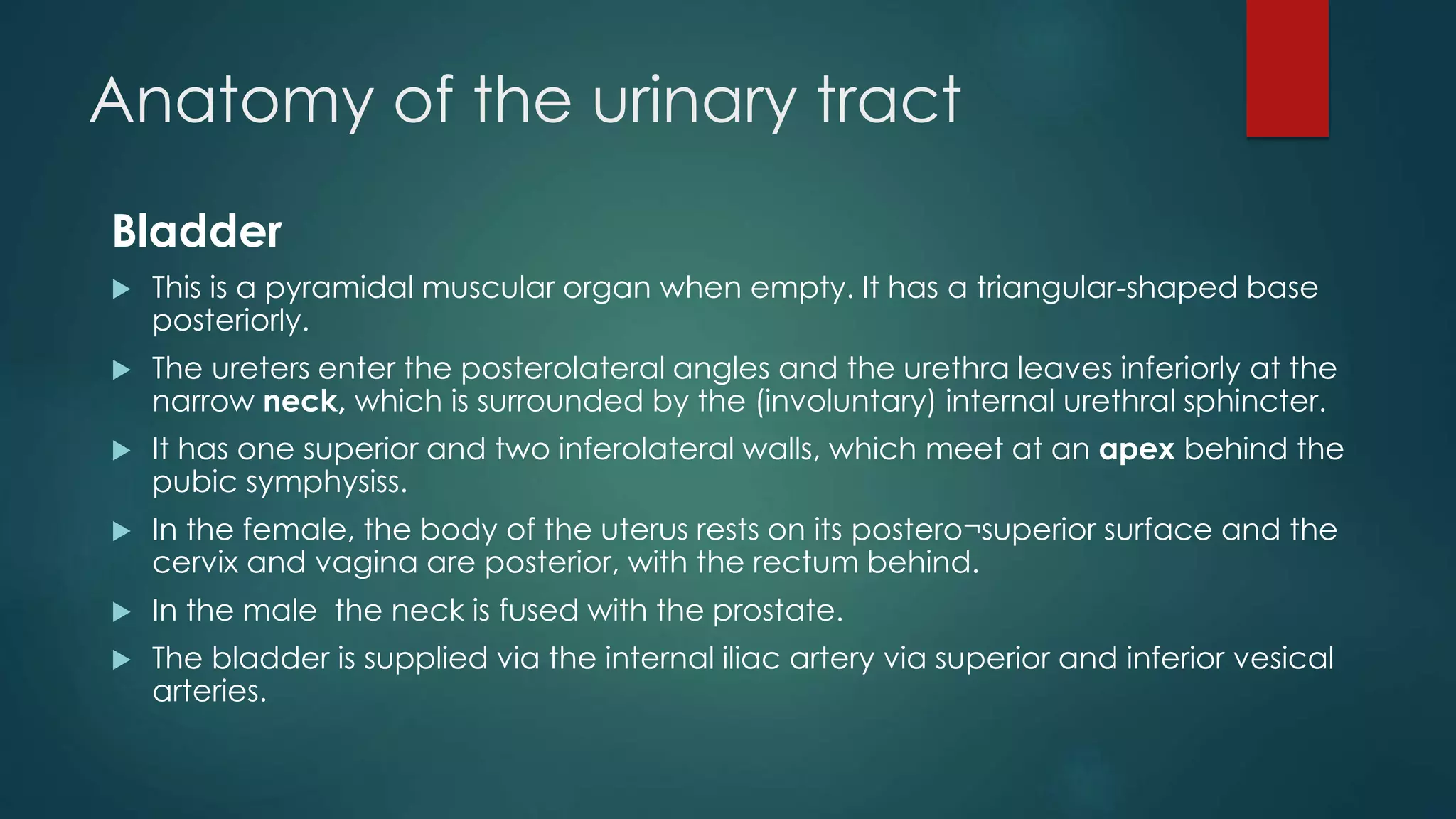 Urinary tract imaging and pathology | PPTX