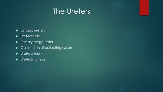 Urinary tract imaging and pathology | PPTX | Medical Health