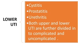 Urinary tract infaction | PPT