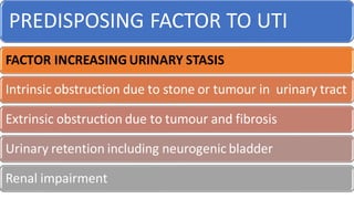 Urinary tract infaction | PPT