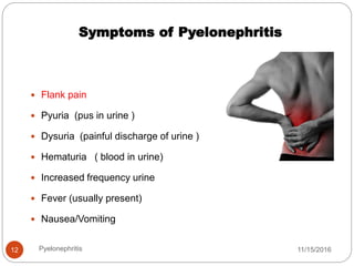 pyelonephirits | PPTX