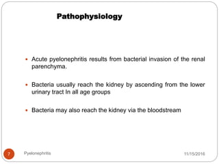 Pyelonephritis Pathophysiology
