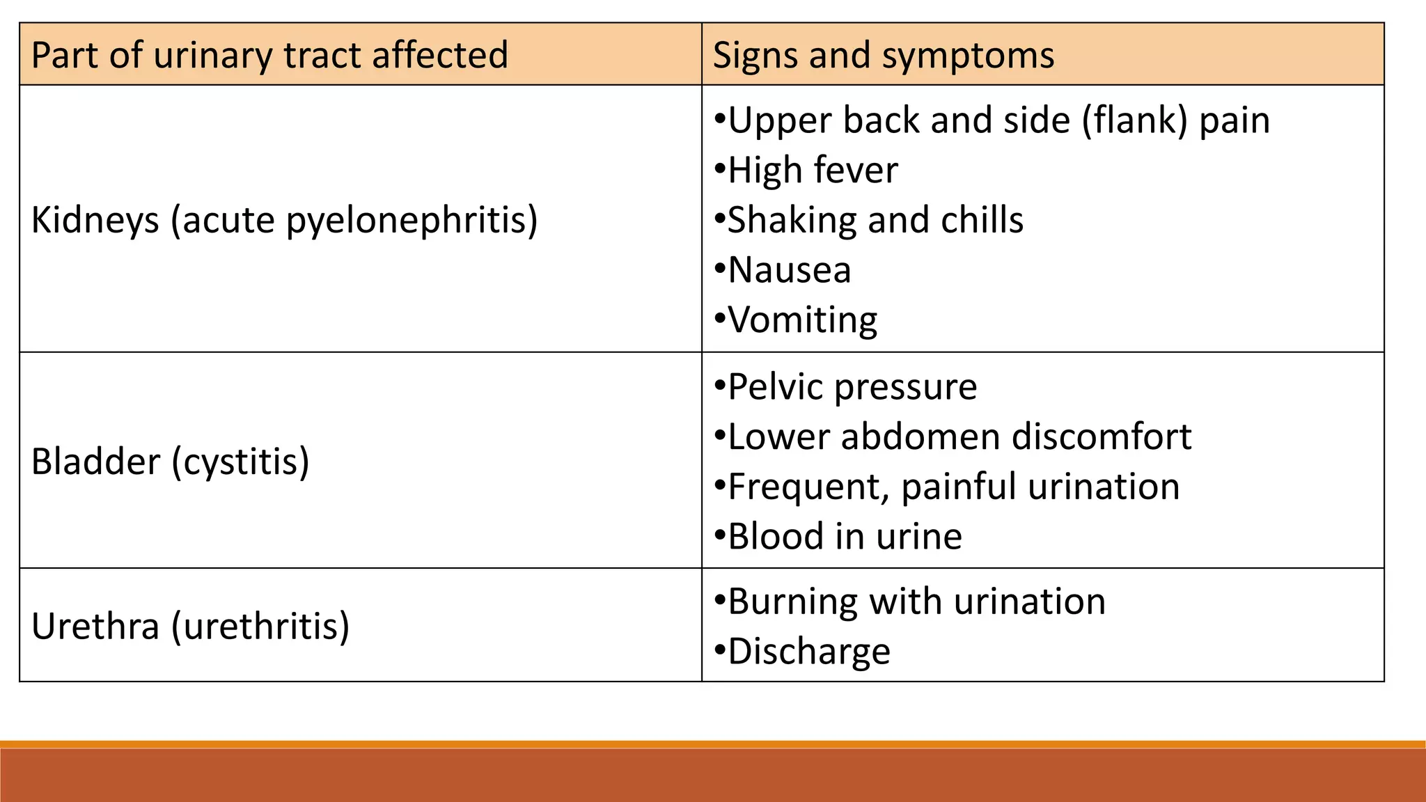 Urinary tract infection | PPTX