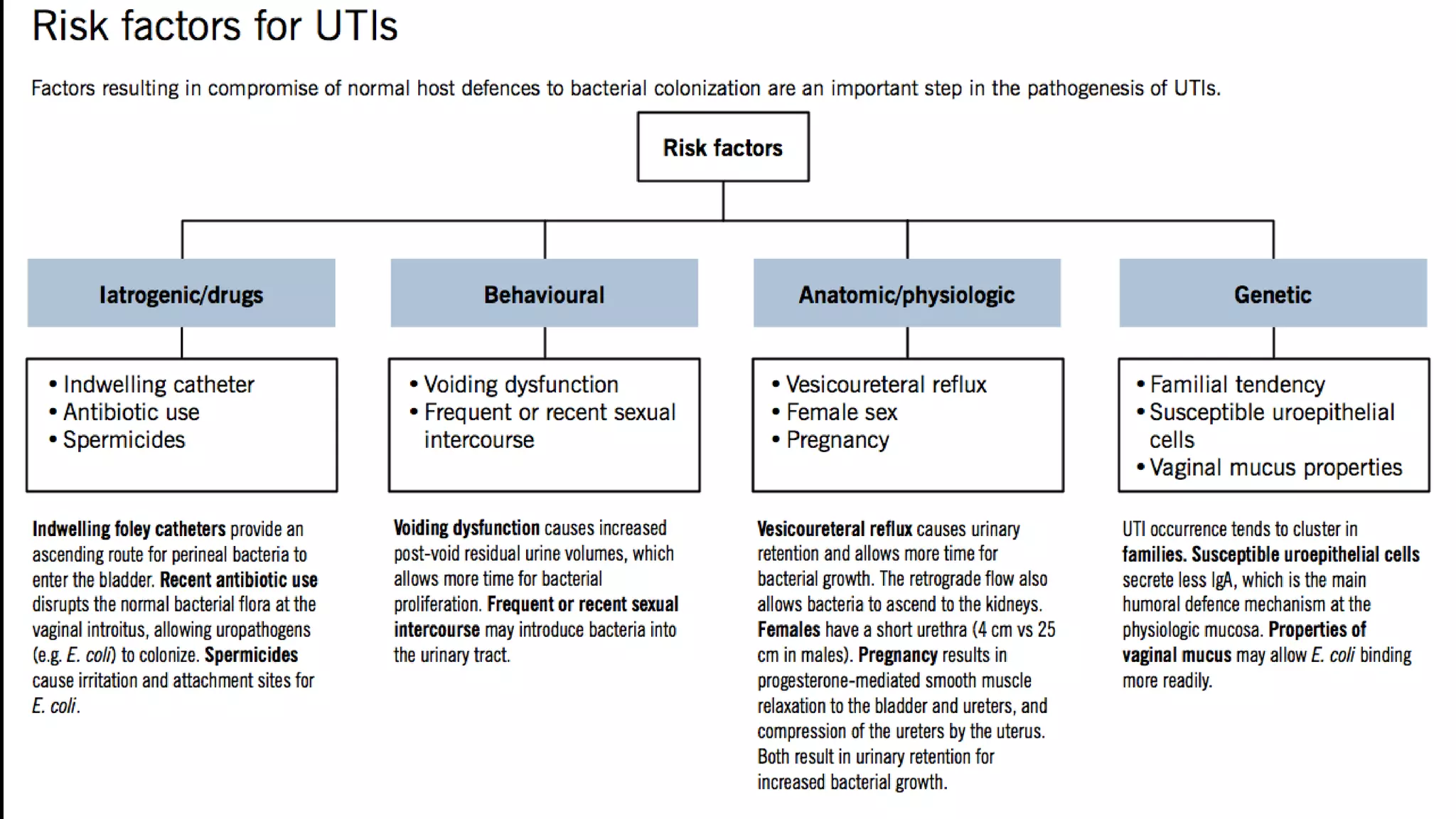 Urinary tract infection | PPTX