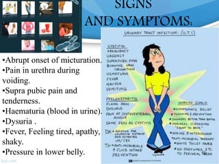 Urinary tract infection | PPTX