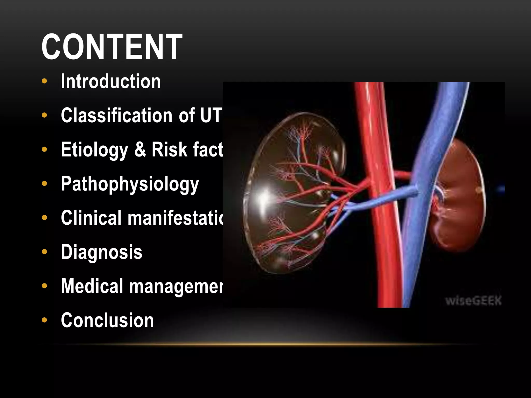 Urinary tract infection | PPTX