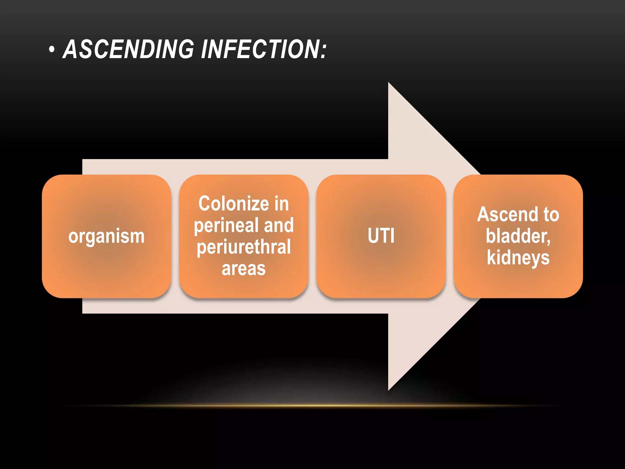 Urinary tract infection | PPTX