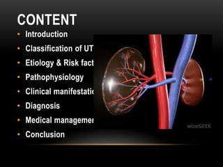 Urinary tract infection | PPTX