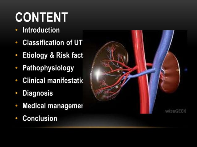 Urinary tract infection | PPTX