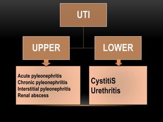 Urinary tract infection | PPTX