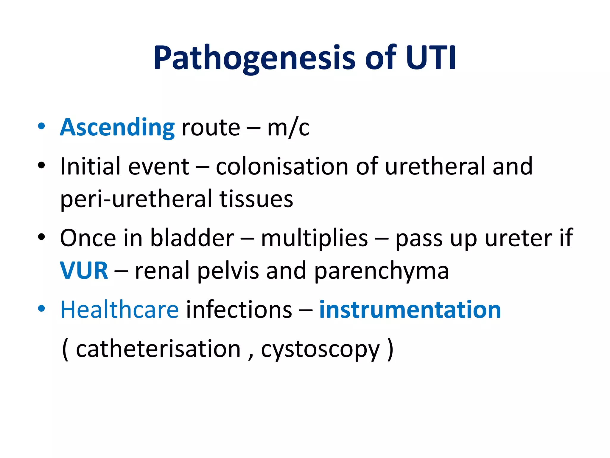 Urinary tract infection | PPTX