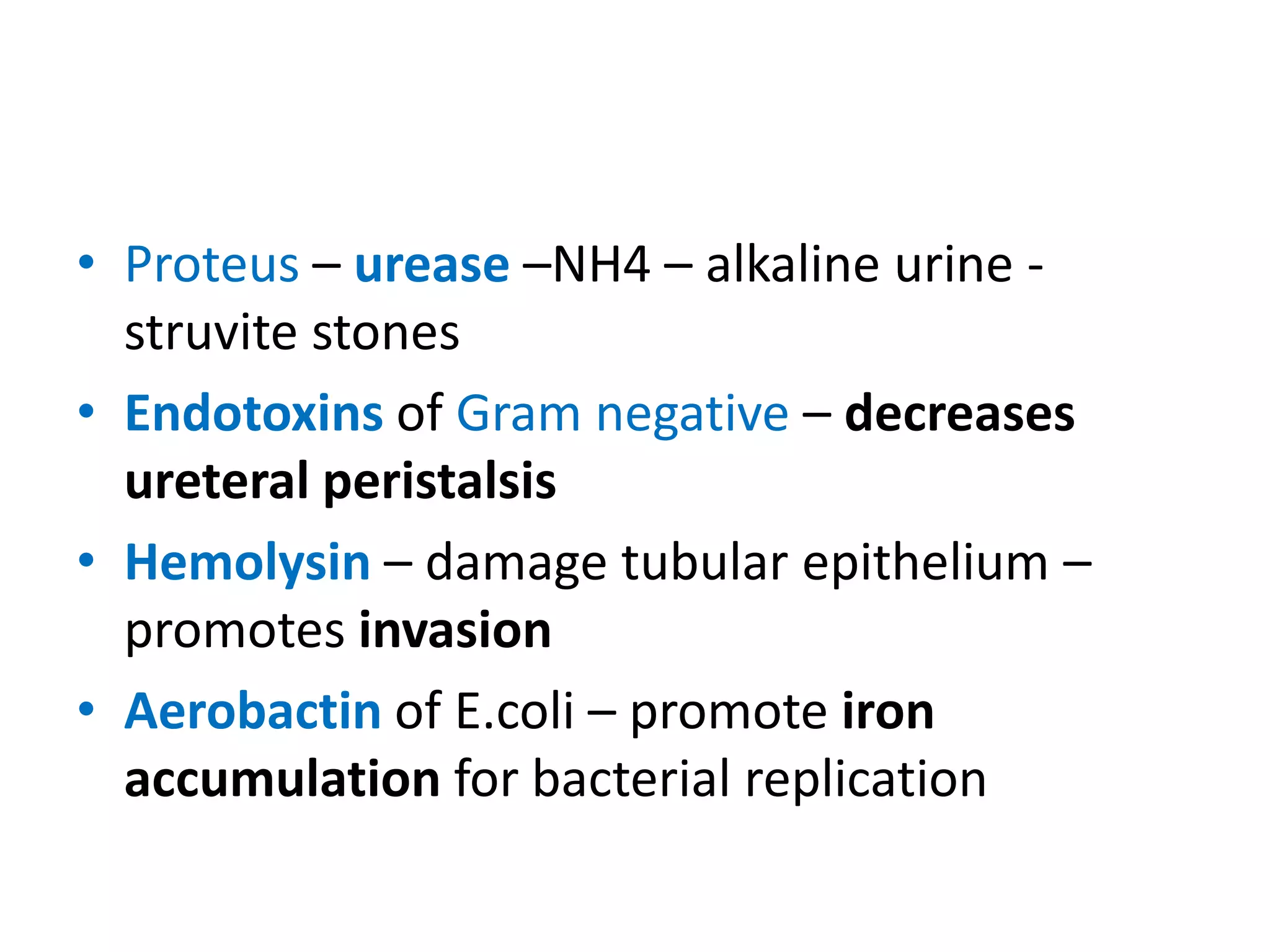 Urinary tract infection | PPTX