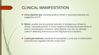 Urinary tract infection | PPTX | Infectious Diseases | Diseases and ...