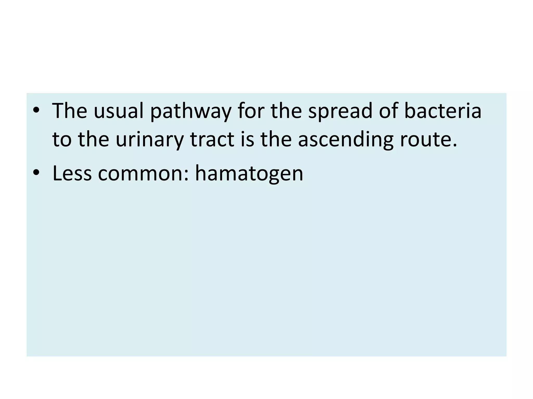 Urinary tract infection | PPTX