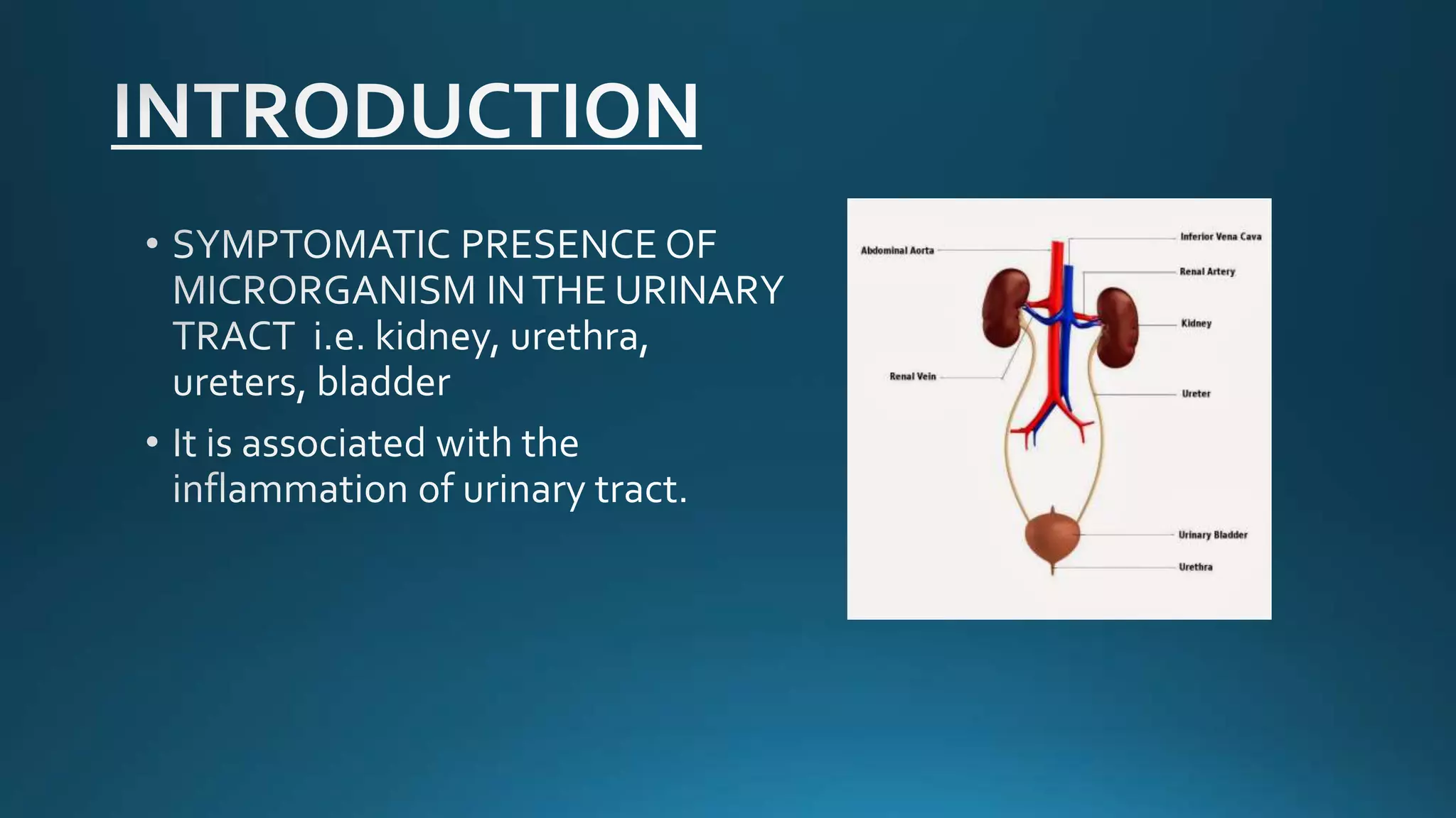 Urinary tract infection | PPTX