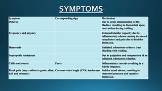Urinary tract infection | PPTX