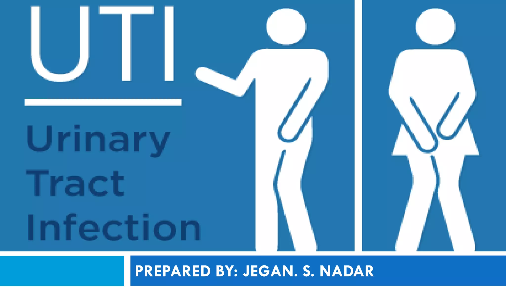 Pathophysiology of Urinary tract infection | PDF