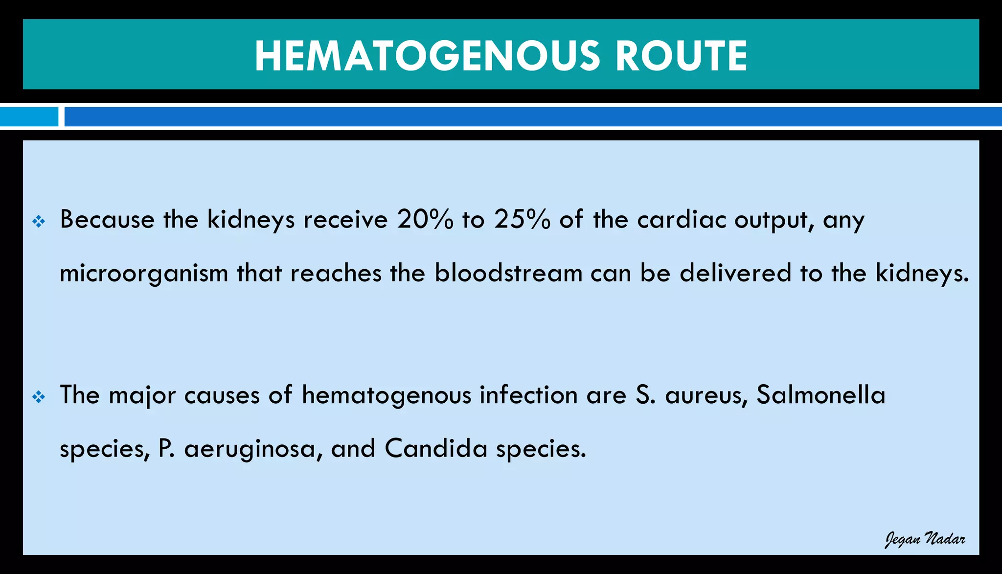 Pathophysiology of Urinary tract infection | PDF