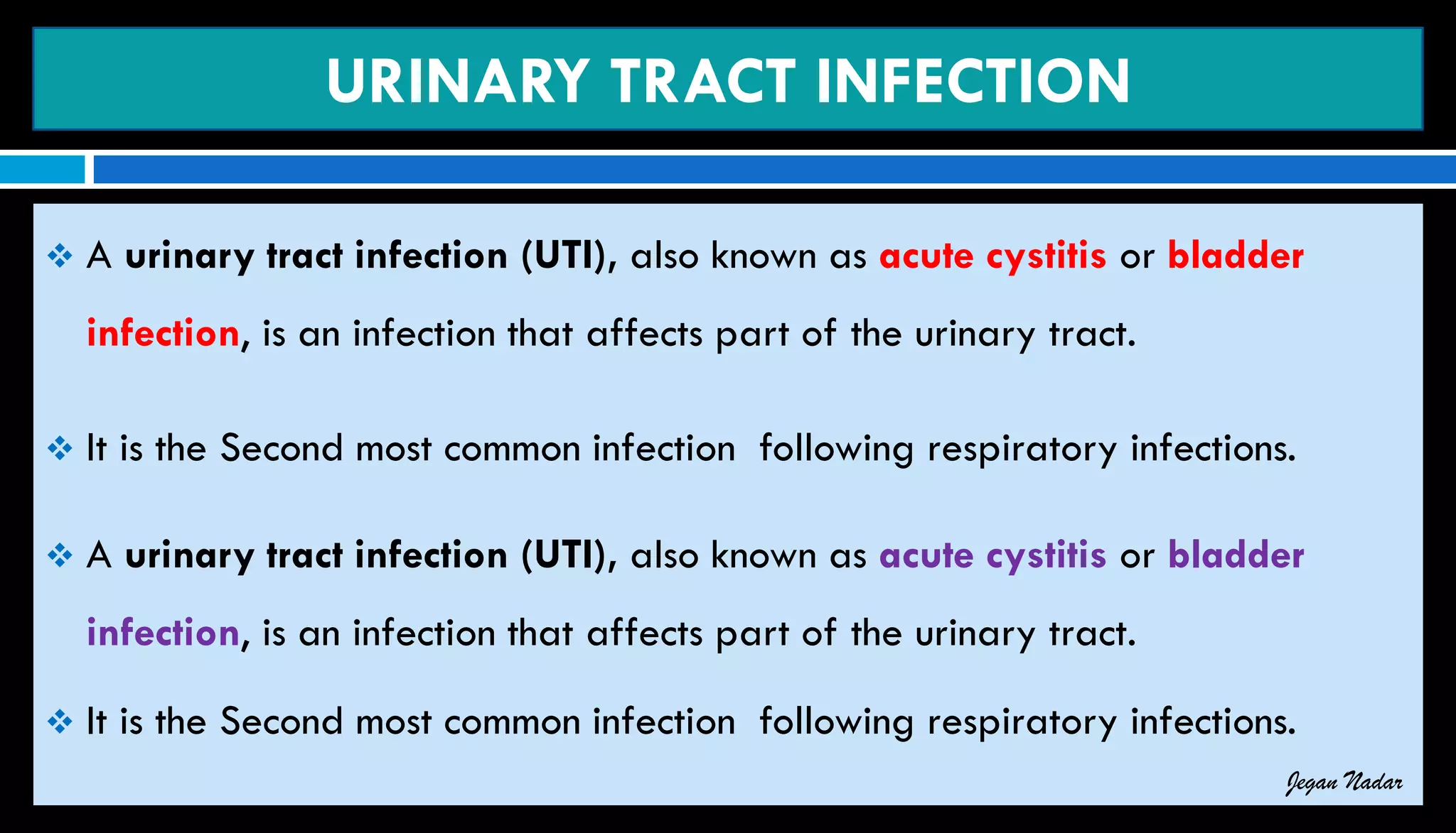 Pathophysiology of Urinary tract infection | PDF