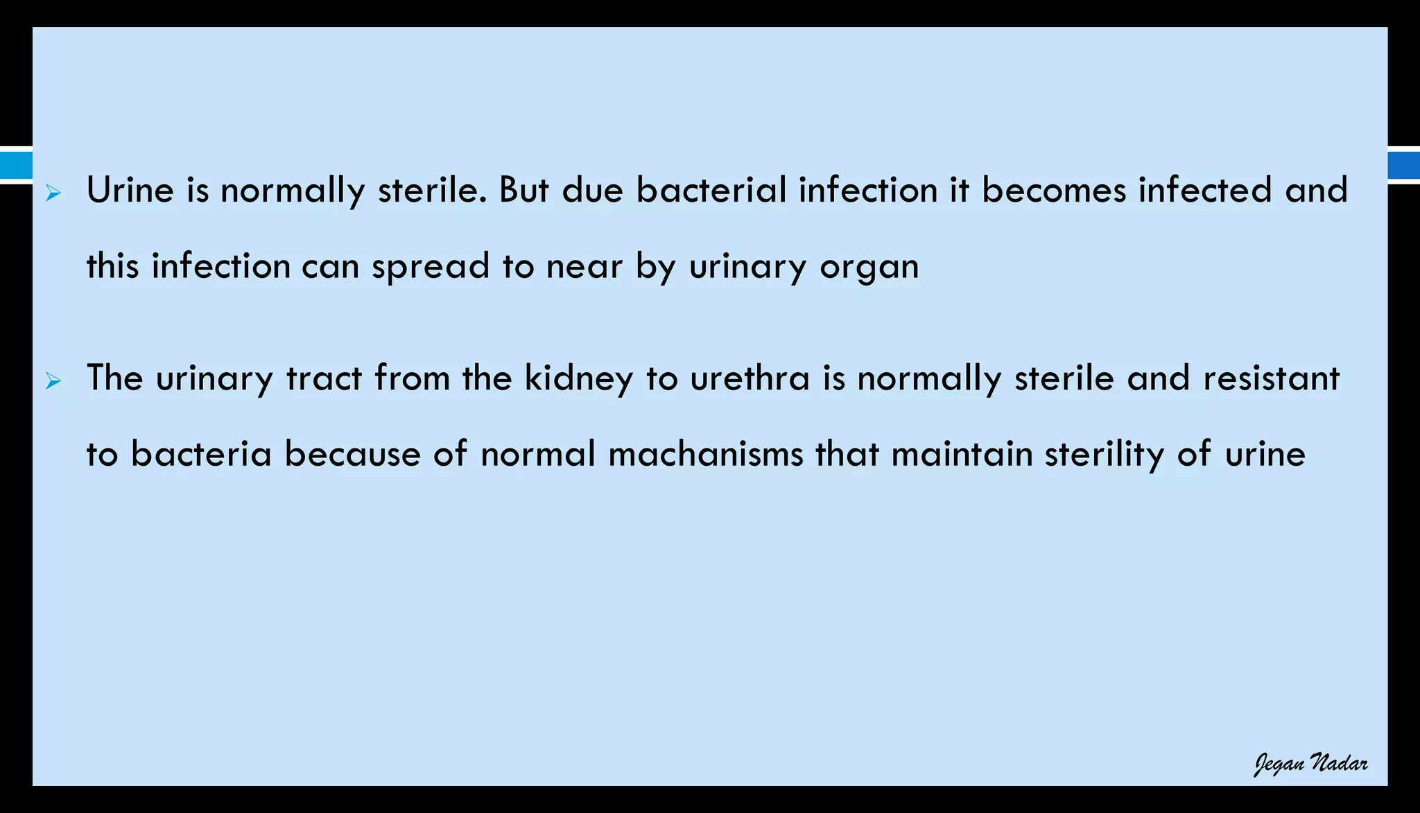 Pathophysiology of Urinary tract infection | PDF