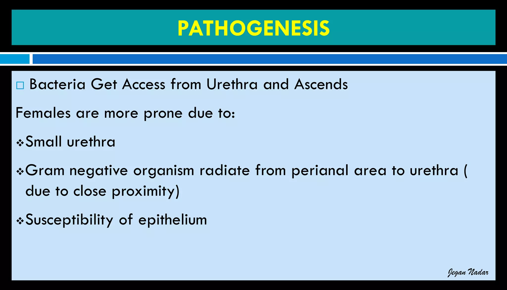 Pathophysiology of Urinary tract infection | PDF