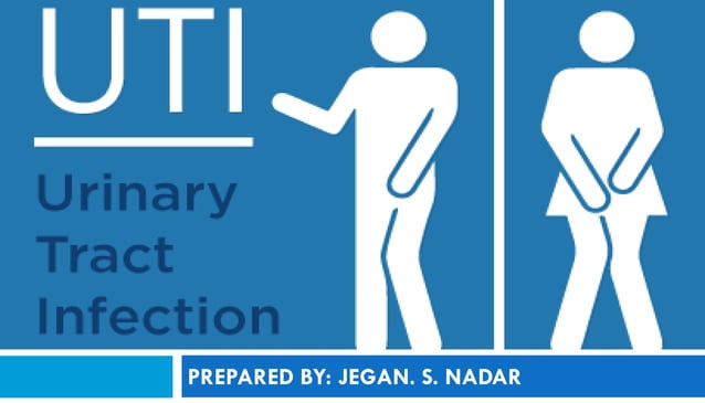 Pathophysiology of Urinary tract infection | PDF | Infectious Diseases ...