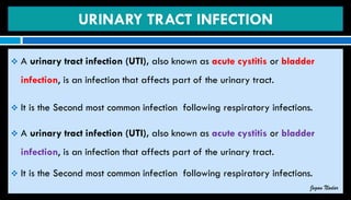 Pathophysiology of Urinary tract infection | PDF